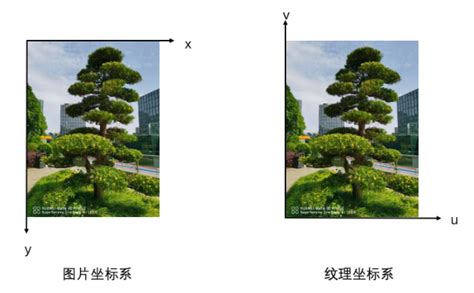 Opengl中的坐标系统 Vulkan Guide