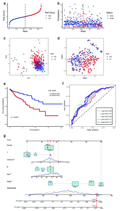 Validation Of The Prognostic Model The Tcga Coad Cohort Was Divided