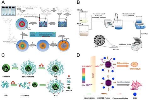 A Illustration Of The Procedure And Chemistry To Synthesize The Download Scientific Diagram