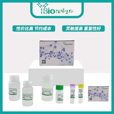 F2培养基（3种母液，工作液2000 L） 用于培养沿海海洋藻类 产品关键词工作液母液海洋藻类培养基工作母液f2培养基价格