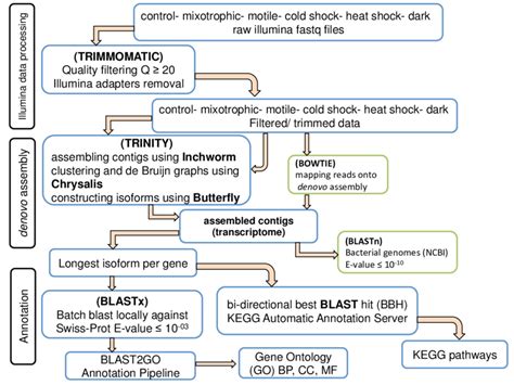 1 Chromera Transcriptome Construction Workflow The Schematic Flowchart