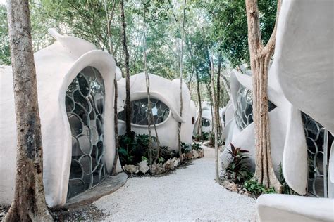 Roth Architecture Creates Office In Tulum With Insect Wing Forms