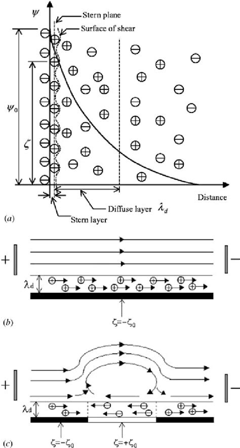 Schematic Illustration Of Electricial Double Layer Edl And