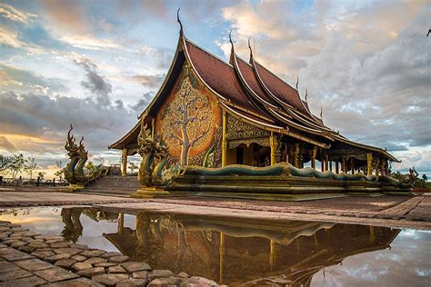 泰國寺廟清萊文化樹 照片背景圖桌布圖片免費下載 Pngtree