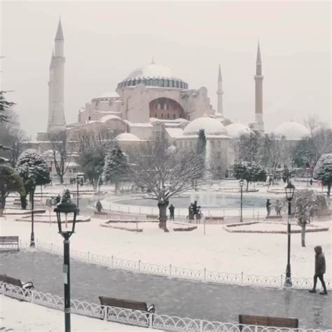 Seda Gunal Posted On Linkedin