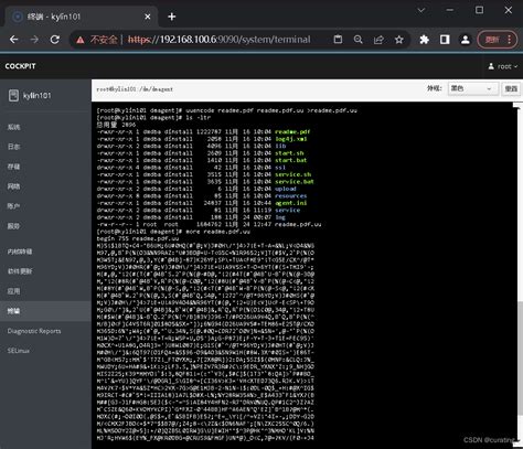 Windows 下使用 Uuencode Uudecode 复制粘贴实现与linuxunix 服务器传递二进制文件二进制文件粘贴怎么弄 Csdn博客