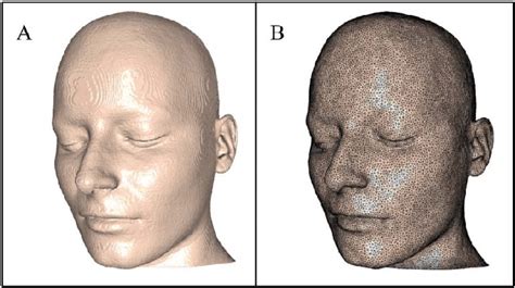Example Of Surface Remeshing A 3d Mesh Of The Face After