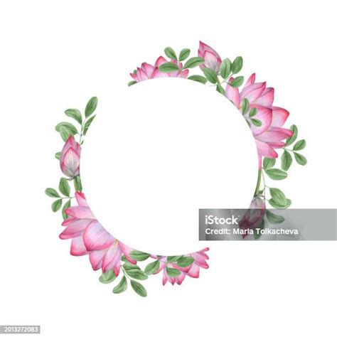 분홍색 흰 연꽃 나비 완두콩 잎 수련 등나무 잎이 있는 둥근 프레임 인도 연꽃 신성한 연꽃 흰색에 고립된 수채화 그림입니다 텍스트 공간을 복사합니다 0명에 대한 스톡 벡터