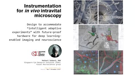 Instrumentation For In Vivo Intravital Microscopy Pdf
