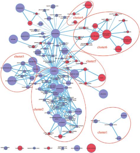 network of enriched go terms derived from differentially expressed