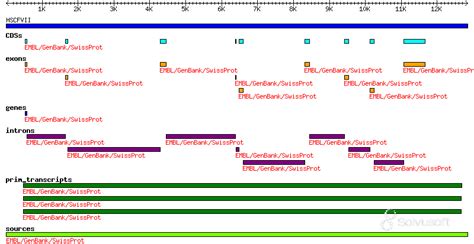 什么是 Bioperl？（open Source开发）