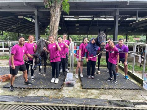 Imable Enablingvolunteers Disabilityinclusion Sg Enable