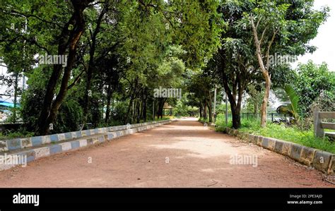 Landscape View Of Walking Lane Of Agara Lake Well Maintained Lake And