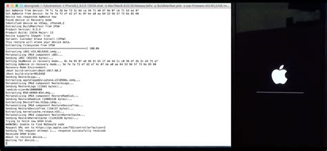 Prometheus Downgrade Tool Released Here Is What You Need To Know