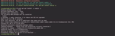How To Install Node Js On Linux Mint CloudSpinx