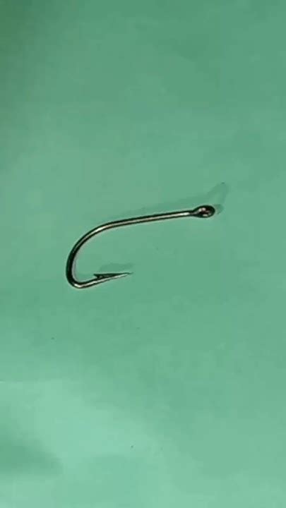 სათევზაო კვანძის საოცარი უნარები მეთევზე თევზაობა შორტი თევზი Youtube