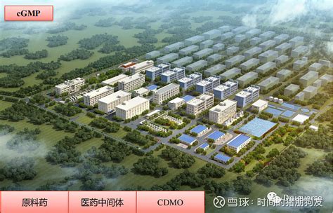 厂房富余了 原文链接宜昌 东阳光 承接CDMO和原料药落地生产 东阳光药 01558 宜昌 东阳光 制药有限公司成立于2018年 雪球
