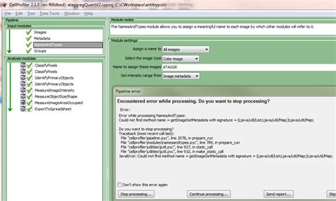 error while processing namesandtypes v2 1 2013 12 17 usage and issues