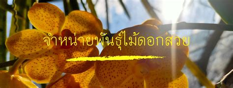 เปิดโลกสอนออนไลน์ เชื่อว่าหลายๆคนที่ฝันอยากทำธุรกิจ การพาสินค้าไปอยู่บนแพลตฟอร์มระดับโลกอย่าง