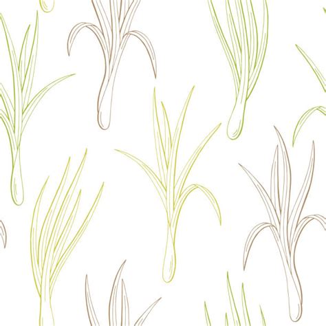 340 Lemongrass Pattern Stock Illustrations Royalty Free Vector Graphics And Clip Art Istock