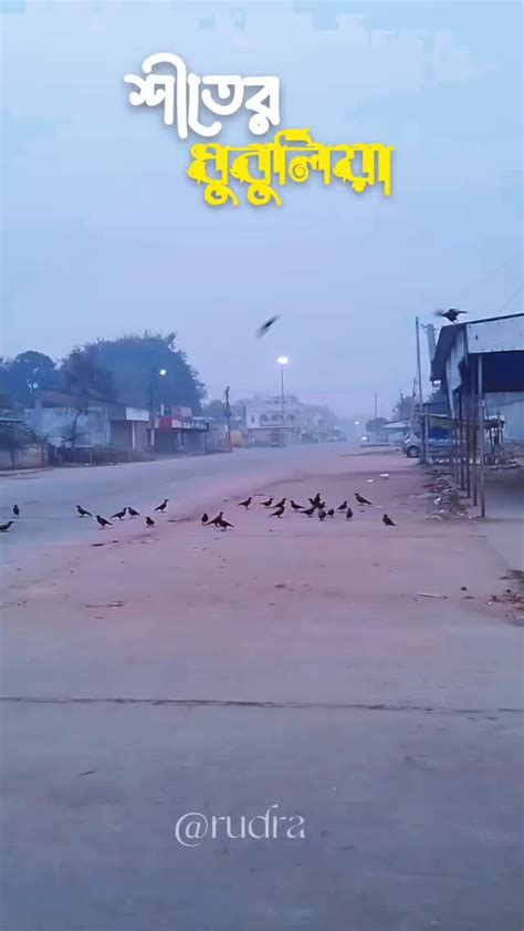 Rudra Paul Cinerudra • Instagram Photos And Videos