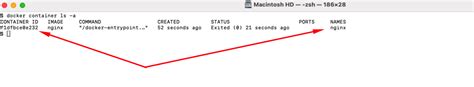 Docker How To Start Stop And Remove Containers Devtutorial
