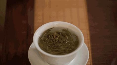 茶疑解惑 头道茶到底能不能喝？ 知乎