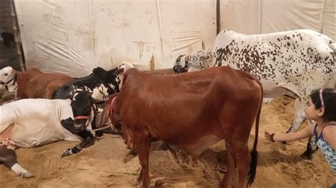 Time Short Han Youtube