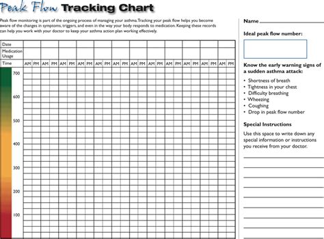 Free Peak Flow Tracking Chart Pdf 178kb 1 Page S