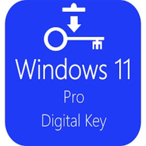 Windows 11 Pro Digital Key Free Download Available At 499 In Kanchanpur