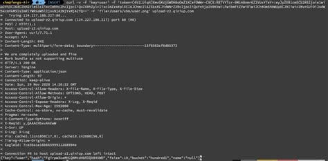 Blob Base Token Issue Qiniu Nodejs Sdk