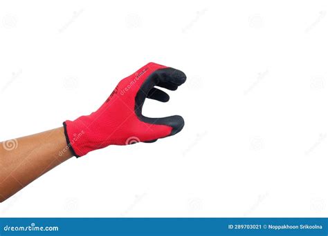 Hands Of A Man With Gloves For Pulling Grass Stock Image Image Of