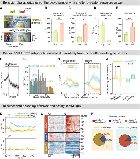 Population Coding Of Predator Imminence In The Hypothalamus Neuron