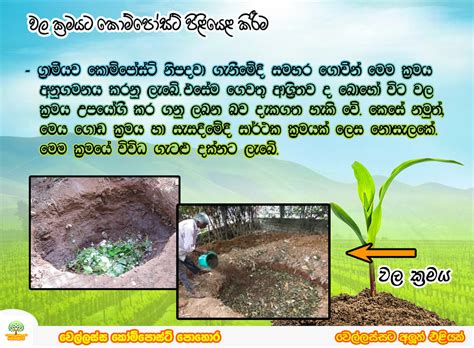 කොම්පෝස්ට් පොහොර සකස් කර ගැනීම වෙල්ලස්ස කොම්පොස්ට් පොහොර Facebook