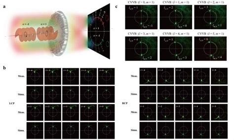 Single Metasurface For Simultaneous Detection Of Sam And Oam Science