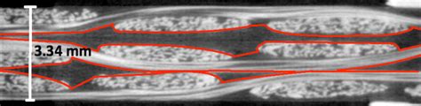 Cross Section Of An Inter Ply Slip Specimen After Pressing A Pp Int