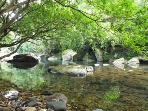 各縣市經典步道 健行筆記
