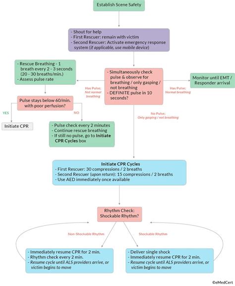 The Ultimate Bls Cheatsheet Emedcert Blog Basic Life Support Emergency Response System