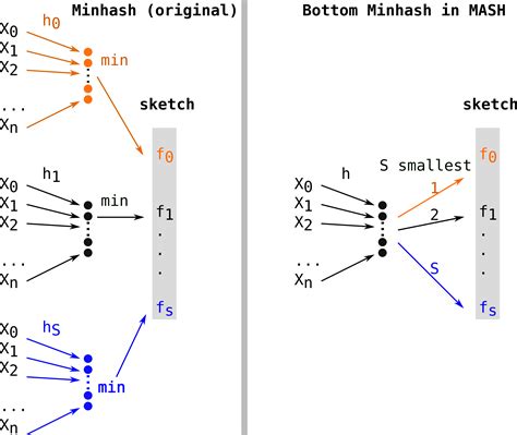 Sketching For Set Comparison In Bioinformatics Camille Marchet Kamij Maʁʃɛ