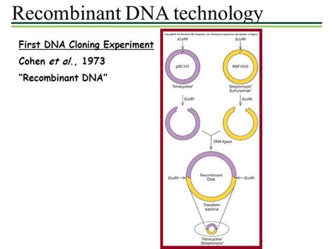 Genetic Timeline 1850 2018 Timetoast Timelines