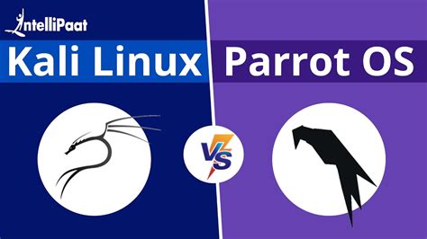 Kali Linux Vs Parrot Os Best Os For Ethical Hacking Intellipaat Youtube