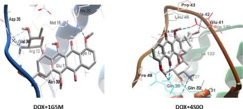Visualizing The 3d Representation Of The Standard Drug With The