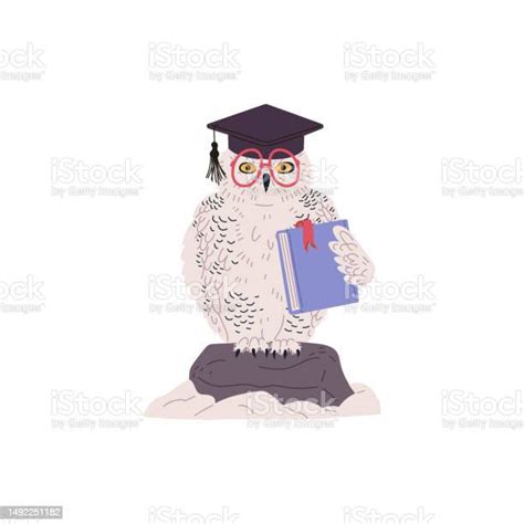 안경을 쓴 올빼미와 졸업 모자를 쓰고 책을 들고 돌 플랫 스타일에 앉아 있다 감정에 대한 스톡 벡터 아트 및 기타 이미지