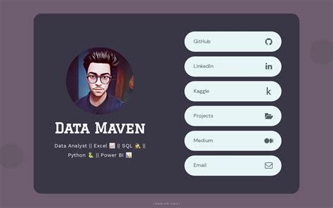 data maven portfolio