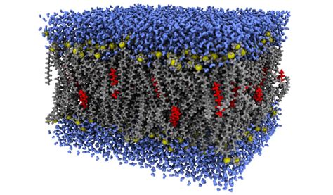 Lenovo Selected For New Supercomputer At The Paderborn Center For Parallel Computing European