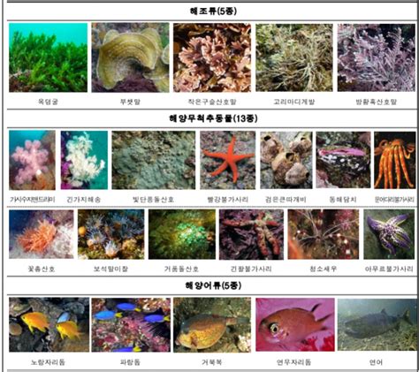 해양생물로 기후변화 측정한다 아틀라스뉴스