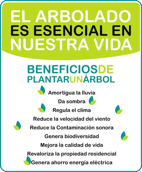 Beneficios De Los Árboles En La Ciudad La Trocha Digital