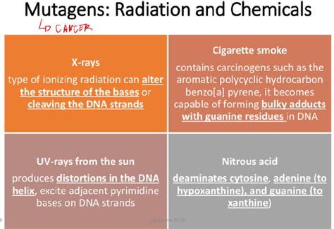 Biochem 4 Pdf