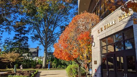 Preet Shah Ms Hi Optometrist Gold Medalist On Linkedin Hofstrau