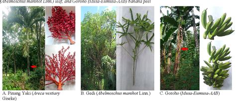 Figure 1 From Prediction Of The Simplex Lattice Design Program On The Hydrogel Formula In The